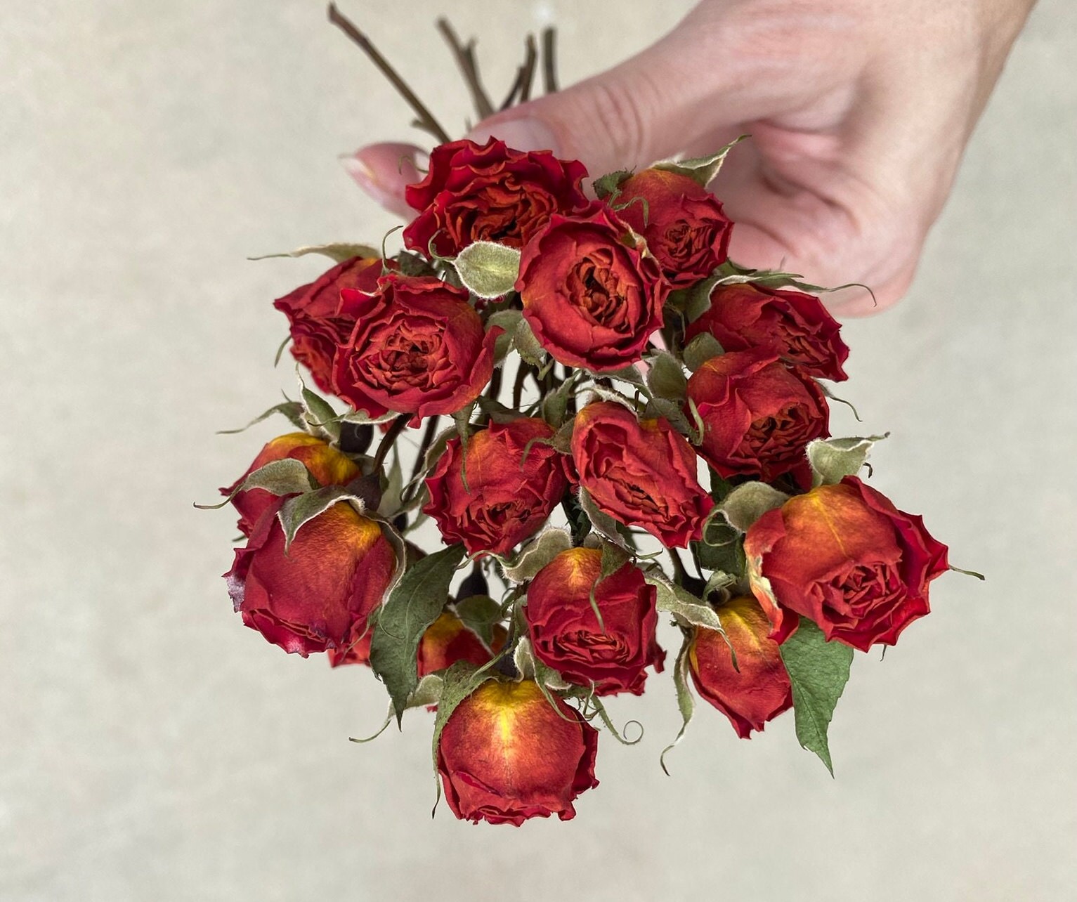 Air Dried Roses on Short Stems 25pcs Rustic Flowers Tiny - Etsy