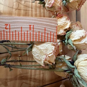 Air Dried Roses on Long Stems. ALL What You See on Photo. Rustic ...