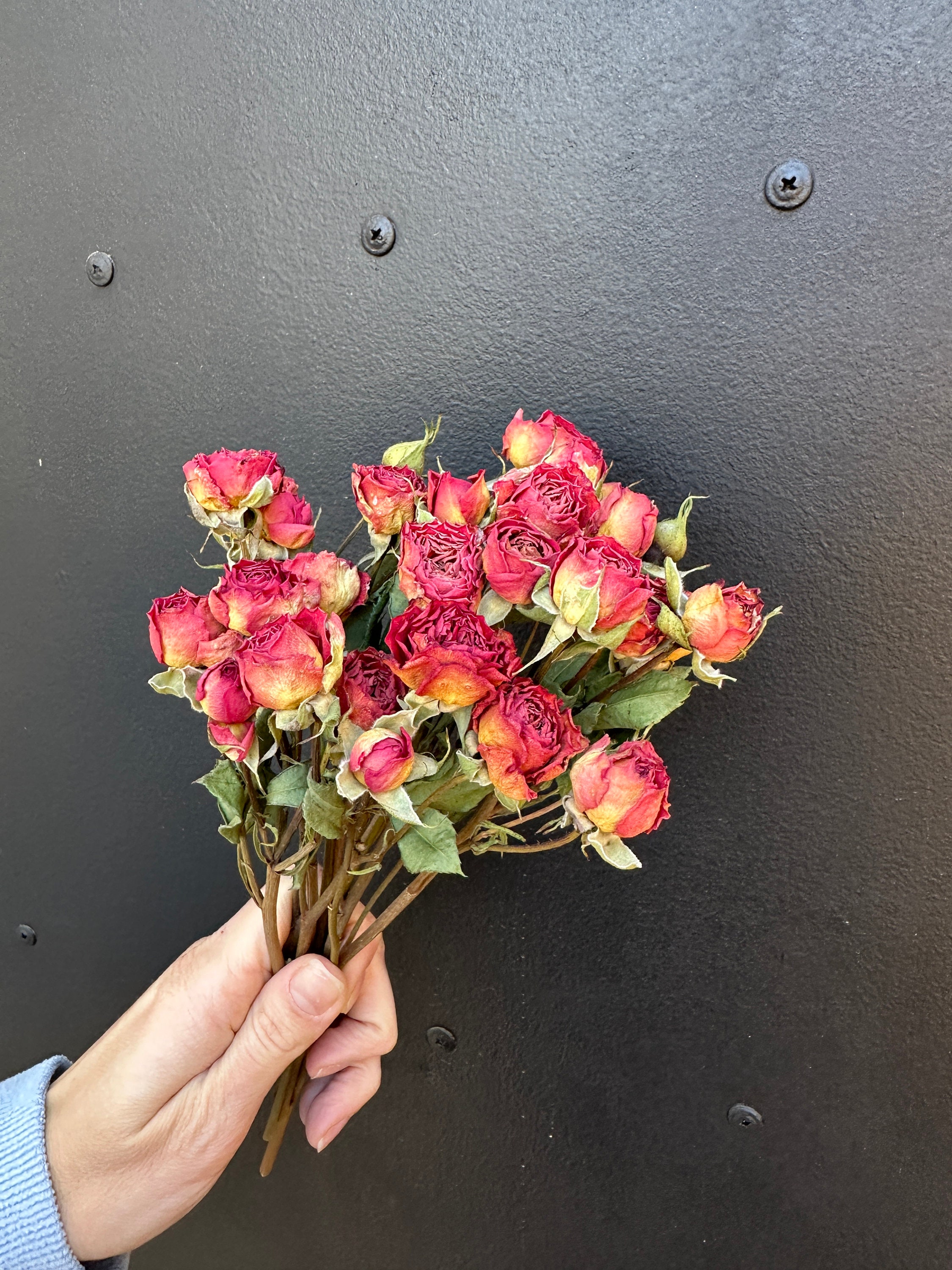 Air Dried Roses on Short Stems, 25pcs, Rustic Flowers, Tiny Orange ...