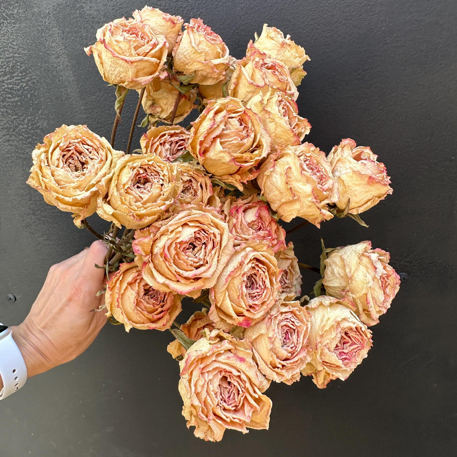 Air Dried Roses on Long Stems. ALL What You See on Photo. Rustic ...