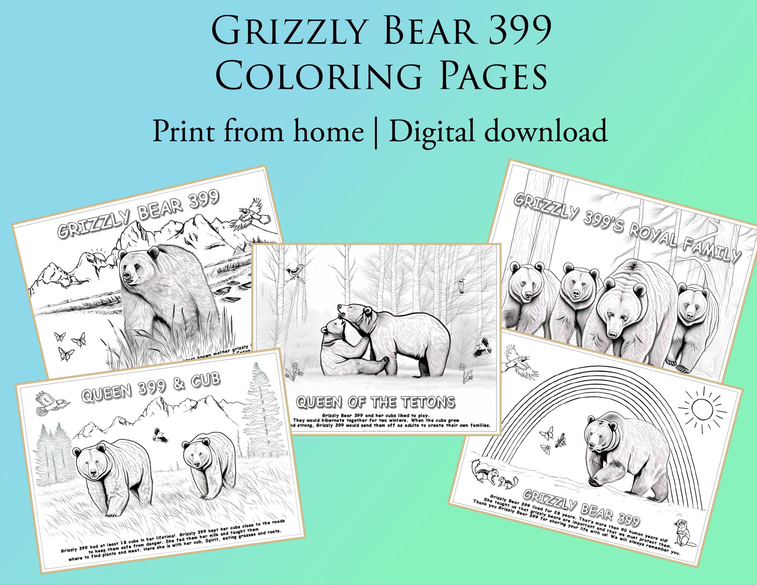 Grizzly Bear 399 Coloring Pages for Kids *PDF Digital Download* - Etsy