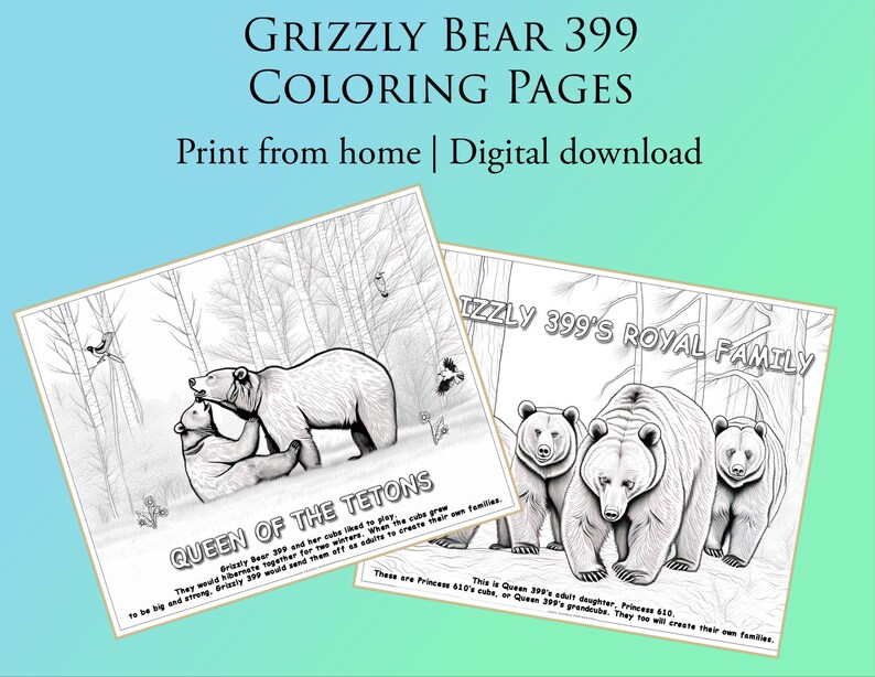 Grizzly Bear 399 Coloring Pages for Kids *PDF Digital Download* - Etsy