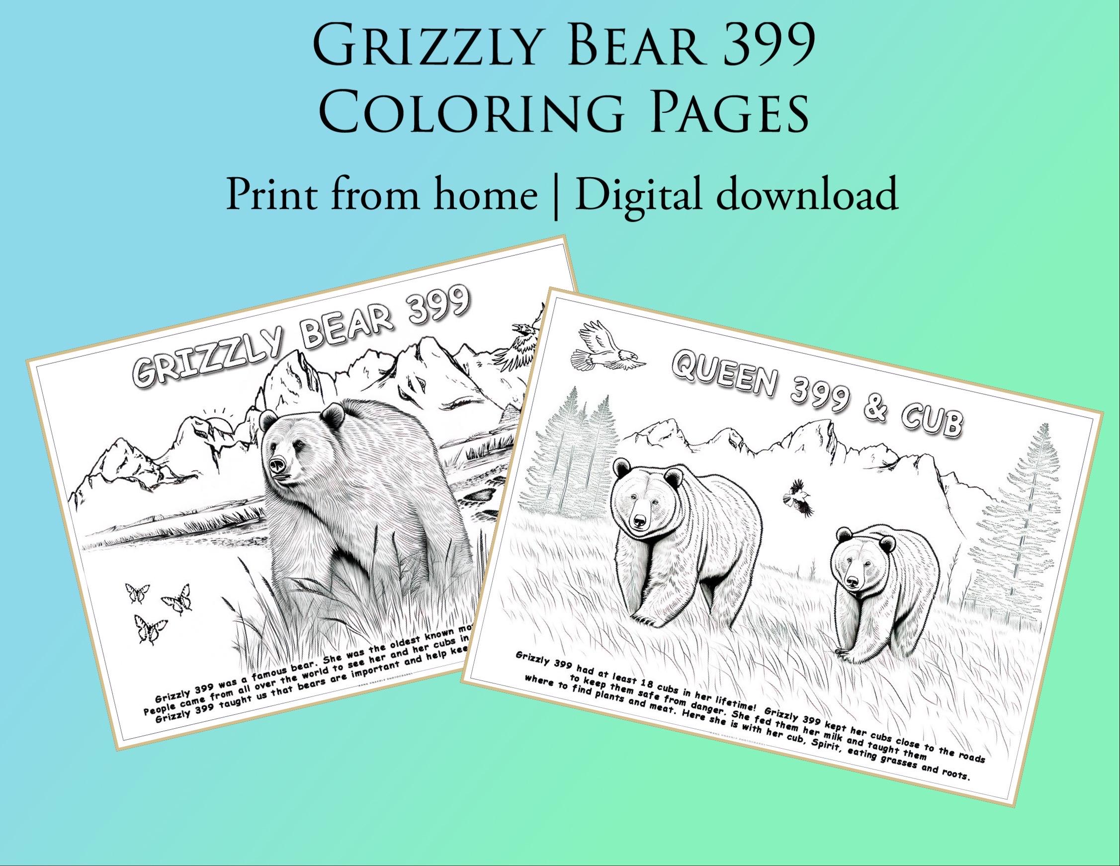 Grizzly Bear 399 Coloring Pages for Kids *PDF Digital Download* - Etsy