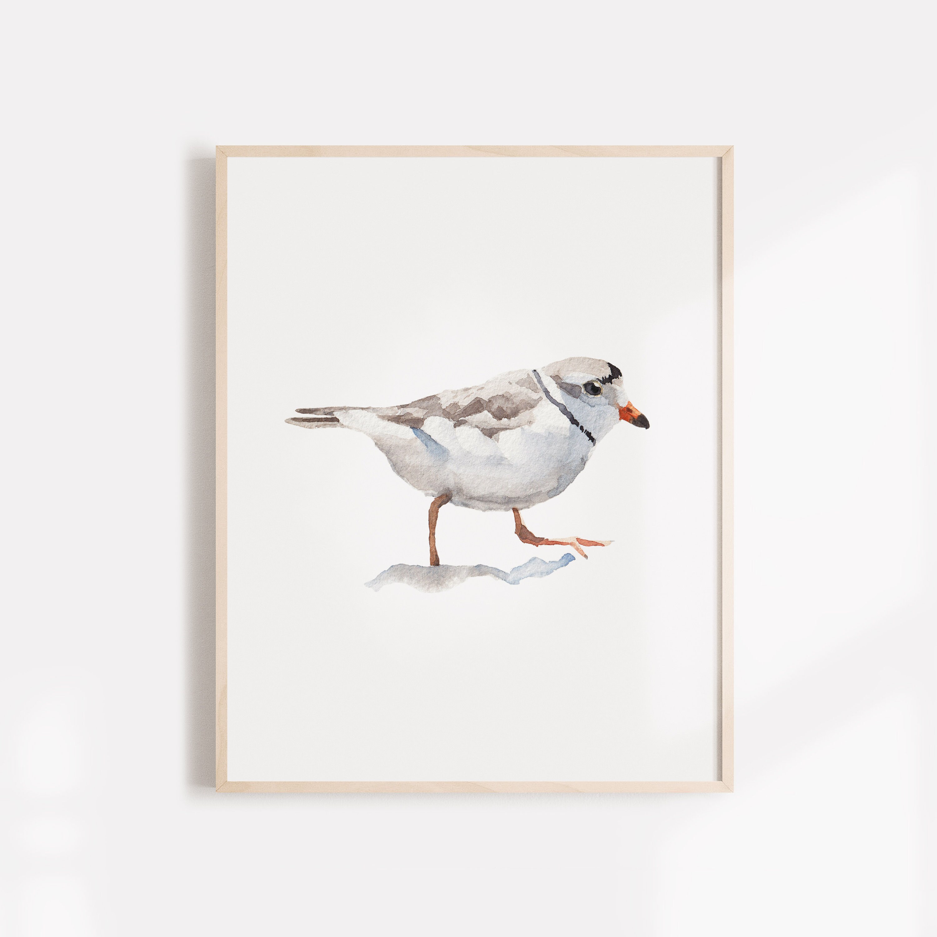 Beach Bird Digital Print Piping Plover Watercolor Sea Bird - Etsy