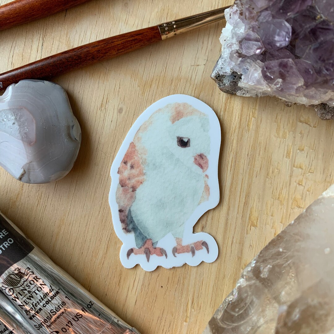 Barn Owl Die Cut Stickers, Owl Planner Stickers, Owl Water Bottle ...