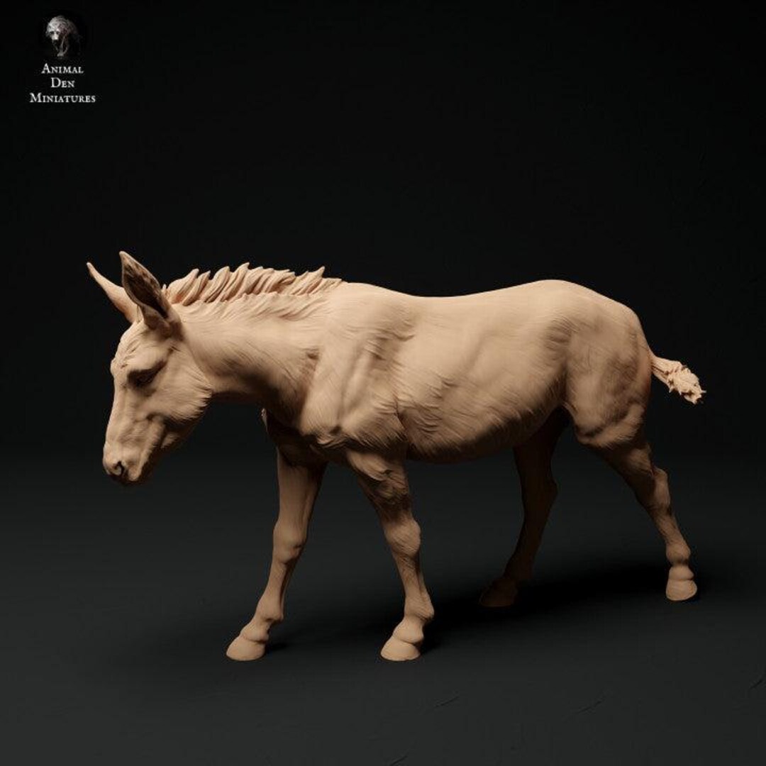 ADM1015 Common-donkey X 2 - Etsy
