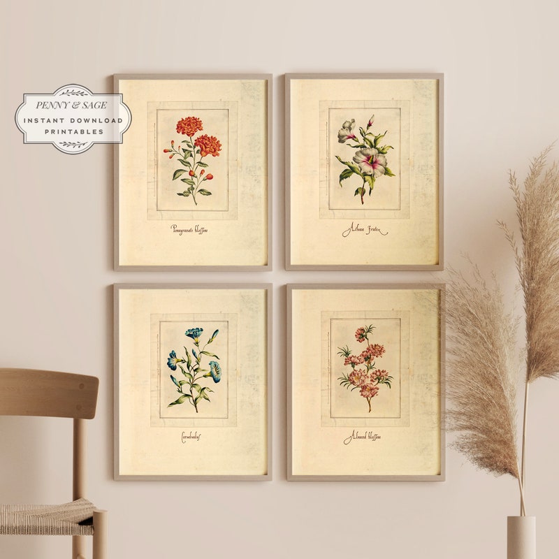 Flower Drawing - Etsy