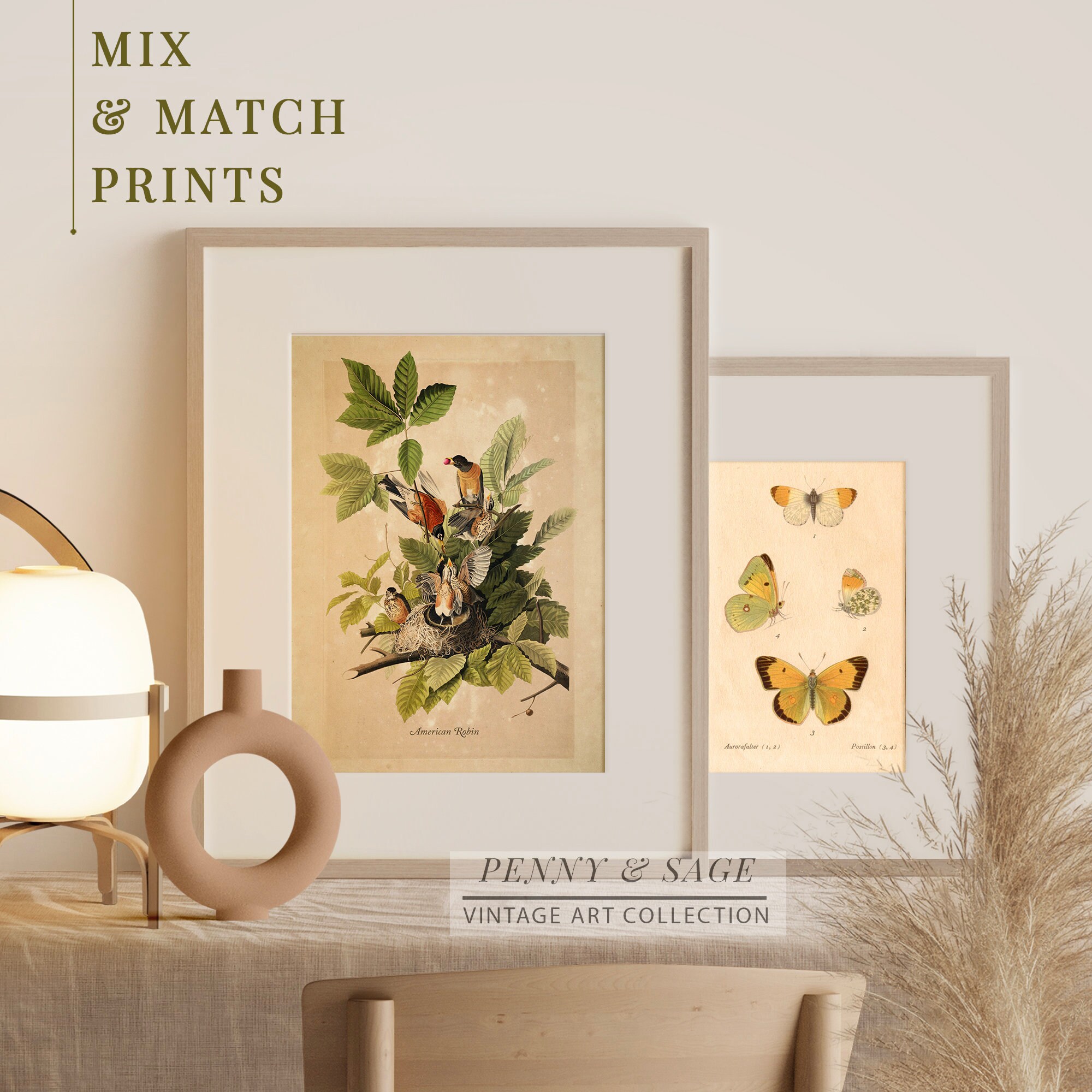 Vintage Audubon Birds Print, Vintage Bird Printable, American Robin ...