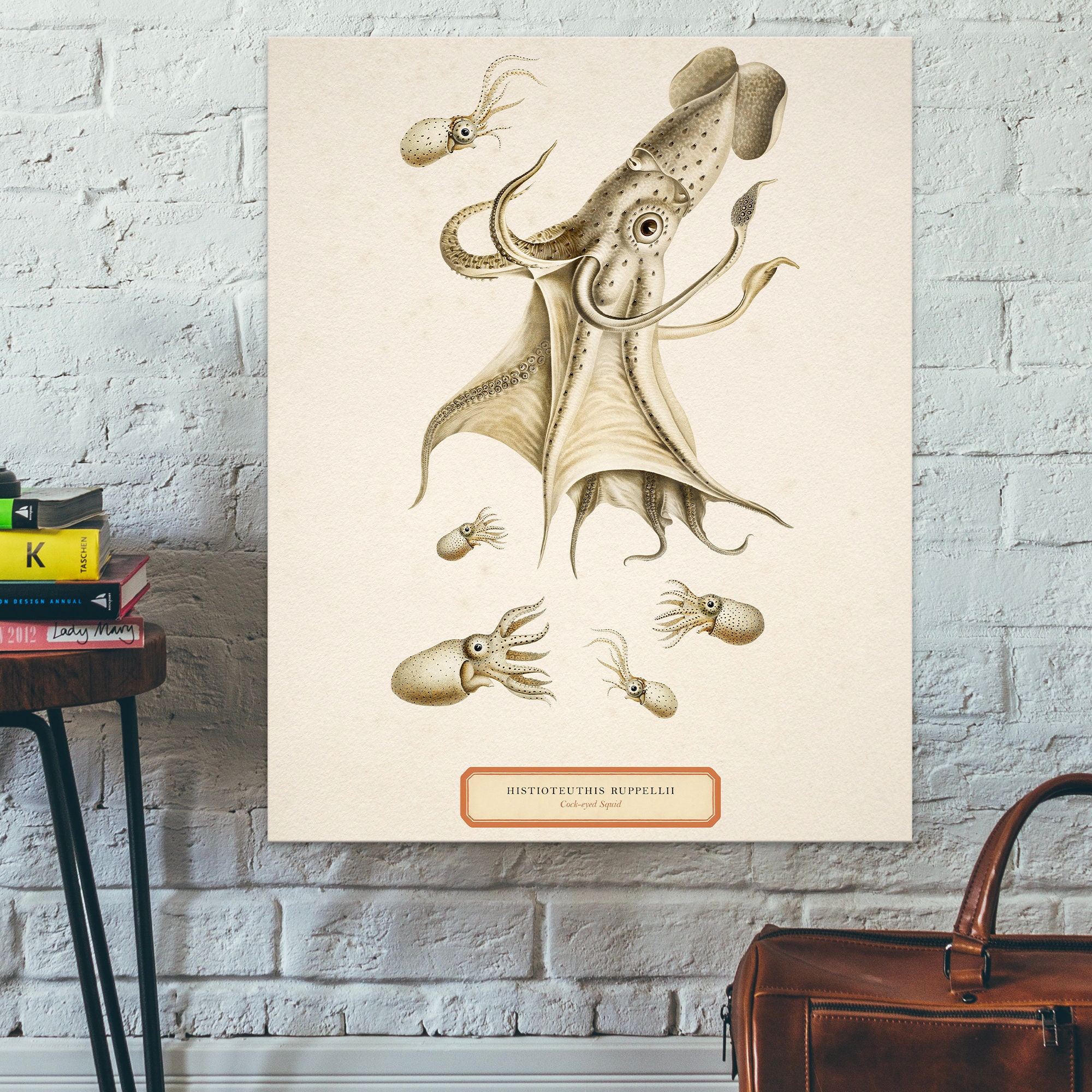 Vintage Squid Antique Illustration, 19th Century Giant Squid, PRINTABLE ...