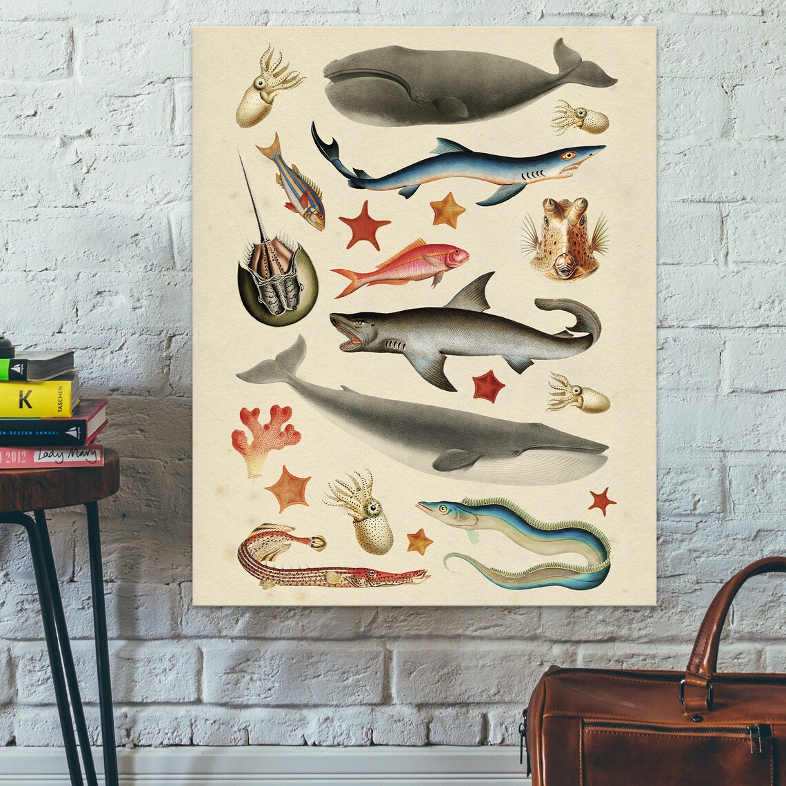 Vintage Sea Creatures Antique Illustration, 19th Century Sea Creatures ...