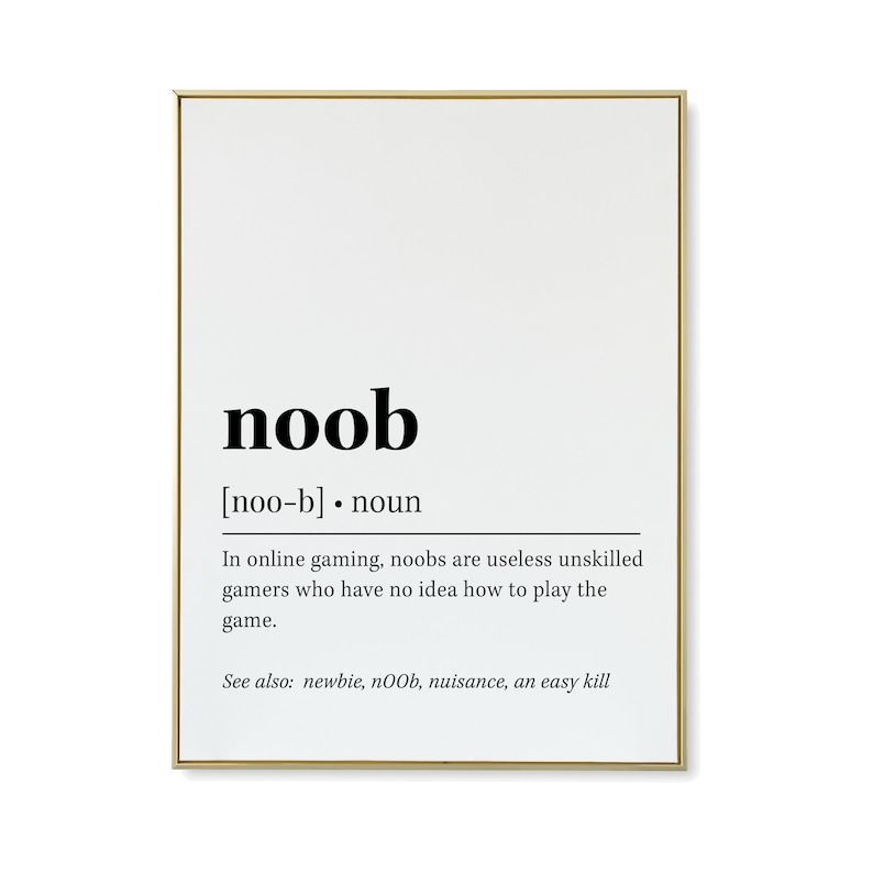Noob Definition Print, Gamer Gift, Funny Definition PRINTABLE Art, Noob ...