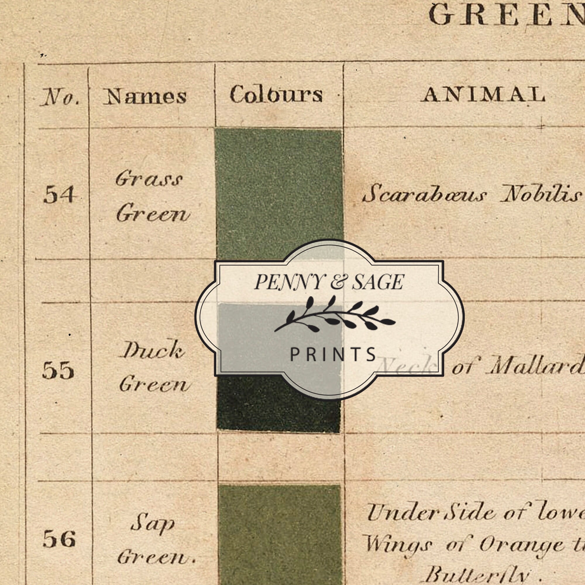 Vintage Colors of Nature Chart Green Colors, PRINTABLE Wall Art ...