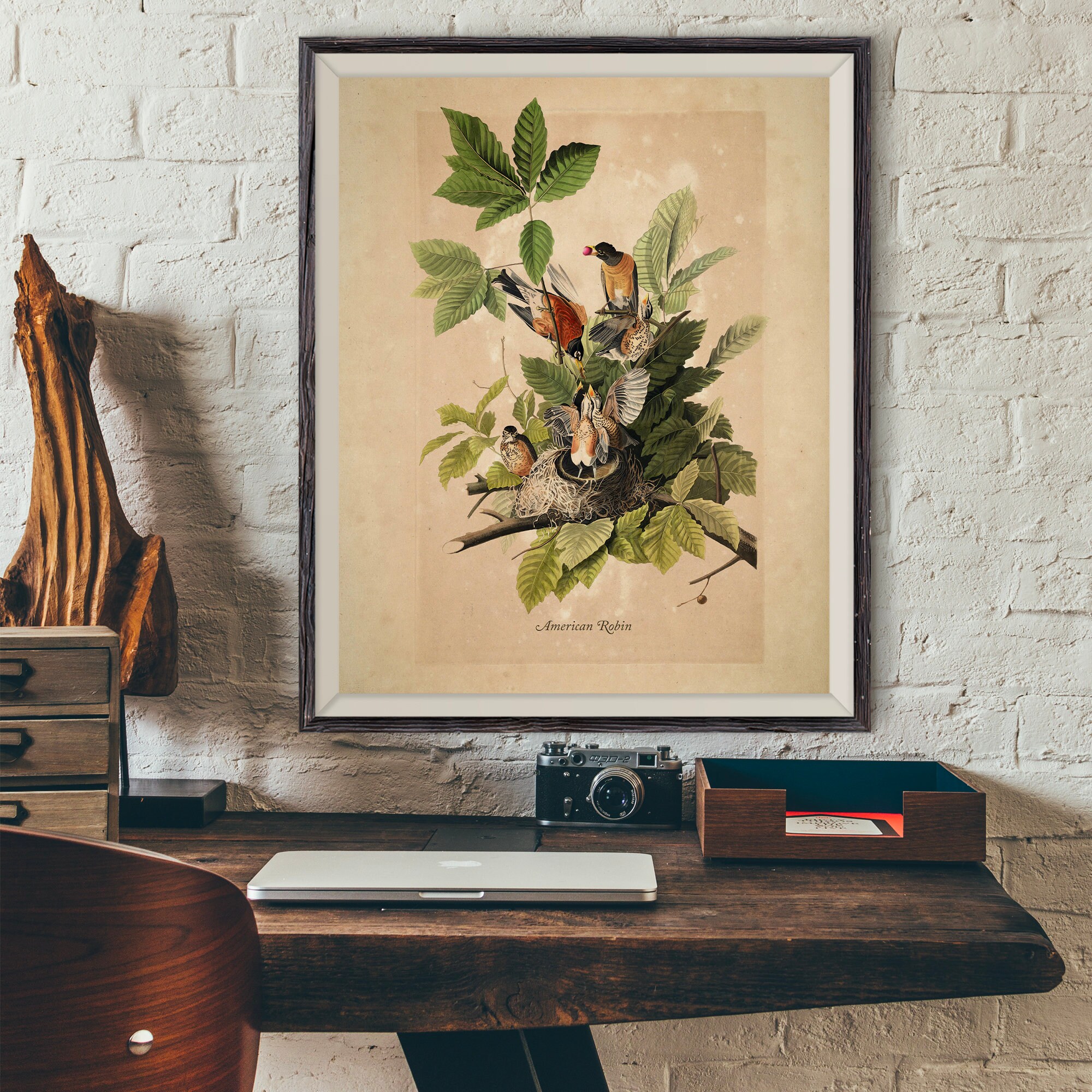 Vintage Audubon Birds Print, Vintage Bird Printable, American Robin ...