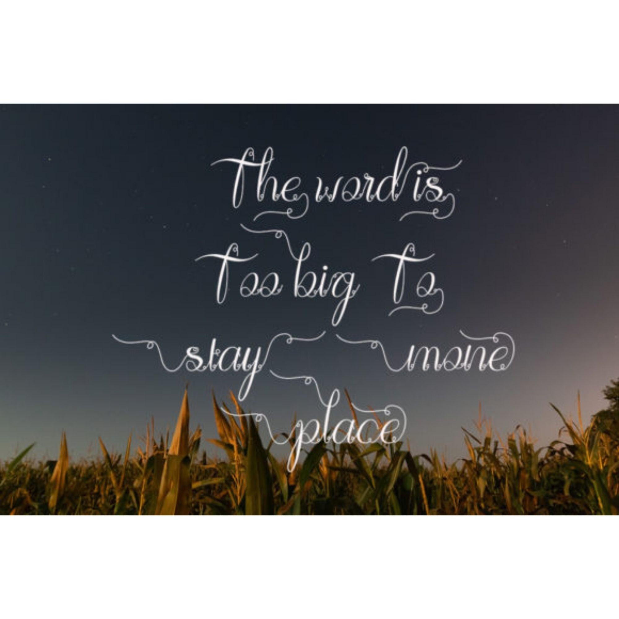 Halayna Font Long Tail Font, Ont With Tails, Cursive Font, Font With ...