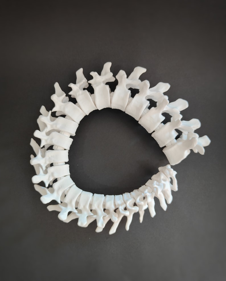 Life-size, Articulated 3D Printed Anatomically Realistic Spine/backbone ...