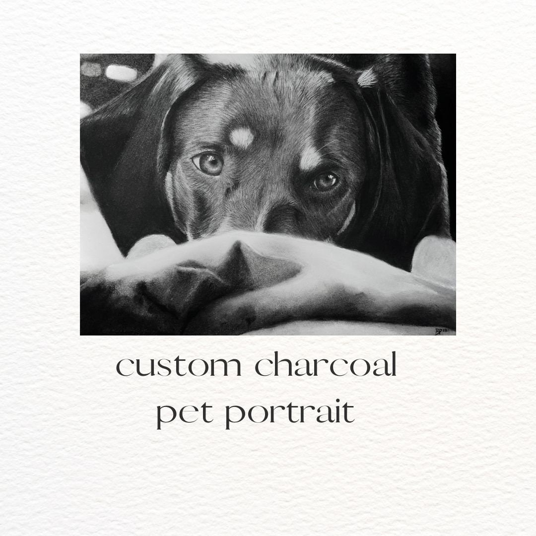 Custom Charcoal Pet Portrait/pet Portrait Drawing/custom Portrait - Etsy