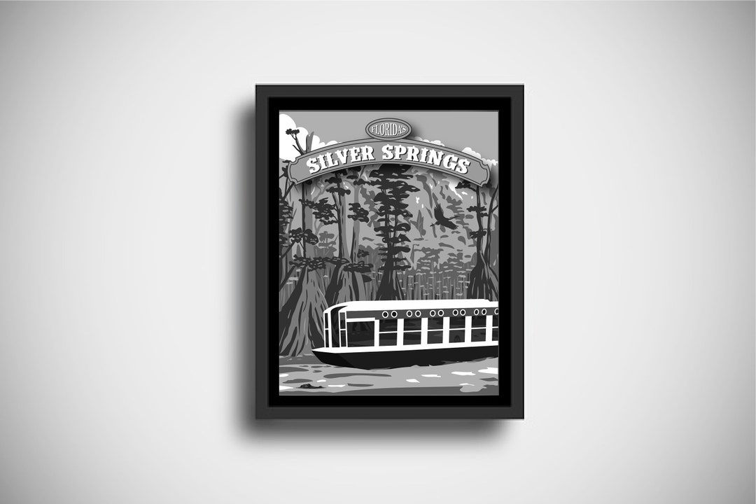 Silver Springs Poster - Etsy