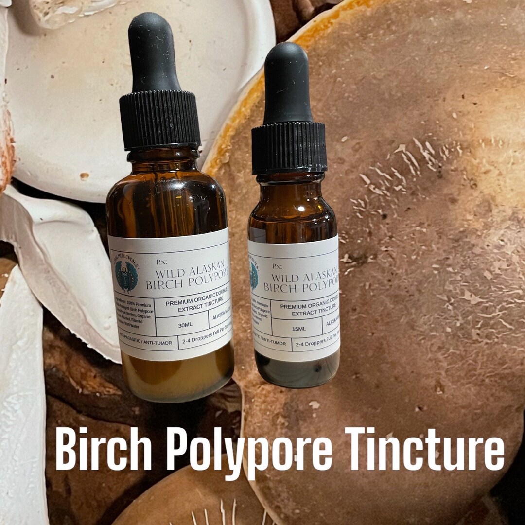 Birch Polypore Tincture - Etsy