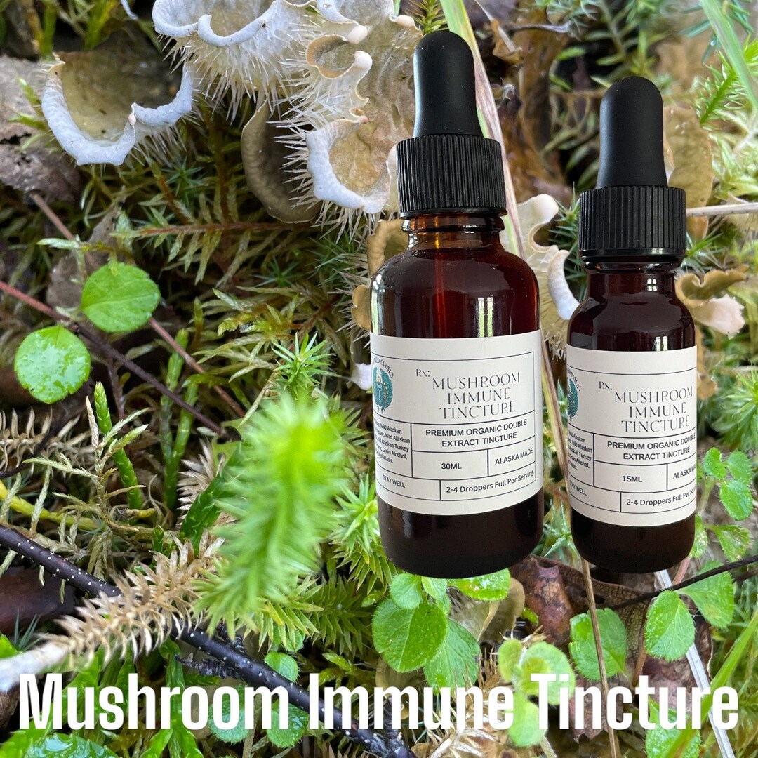 Mushroom Immune Tincture - Etsy