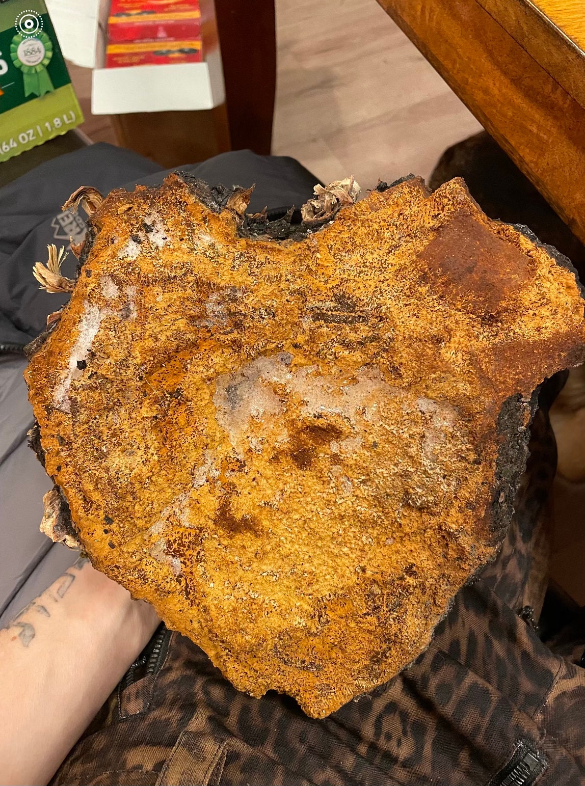 Wild Alaskan Chaga Chunks - Etsy
