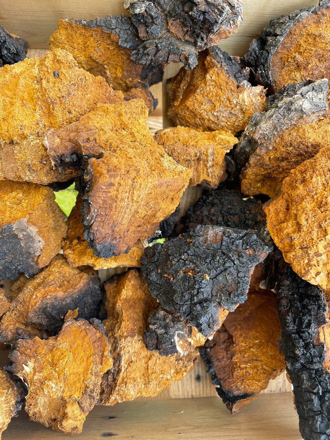 Wild Alaskan Chaga Chunks - Etsy