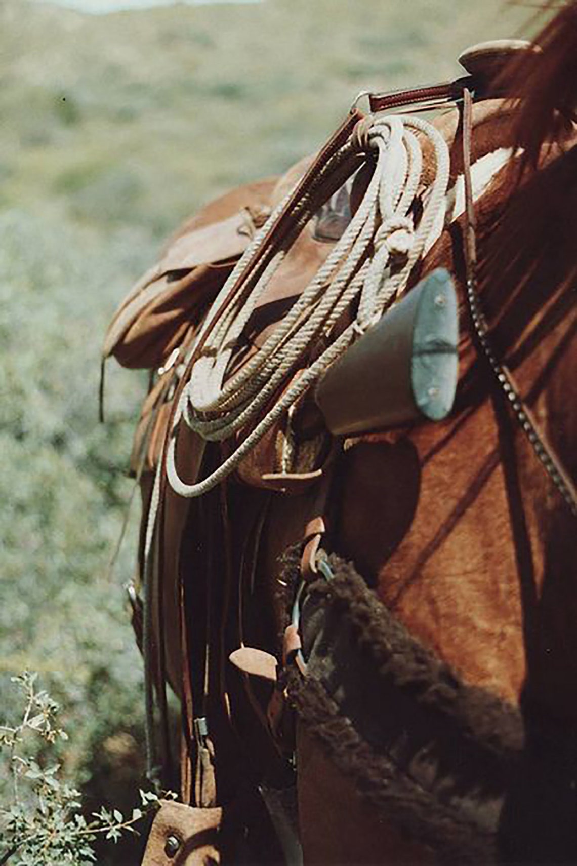 60 Pcs Cowboy Western Collage Kit Western Wall Collage Kit - Etsy