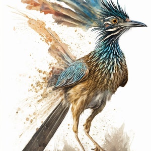 Roadrunner - Etsy