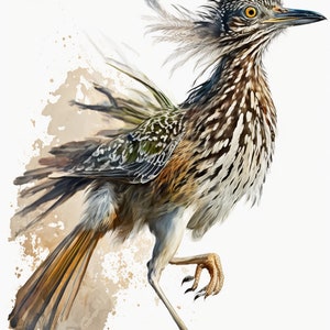 Roadrunner - Etsy