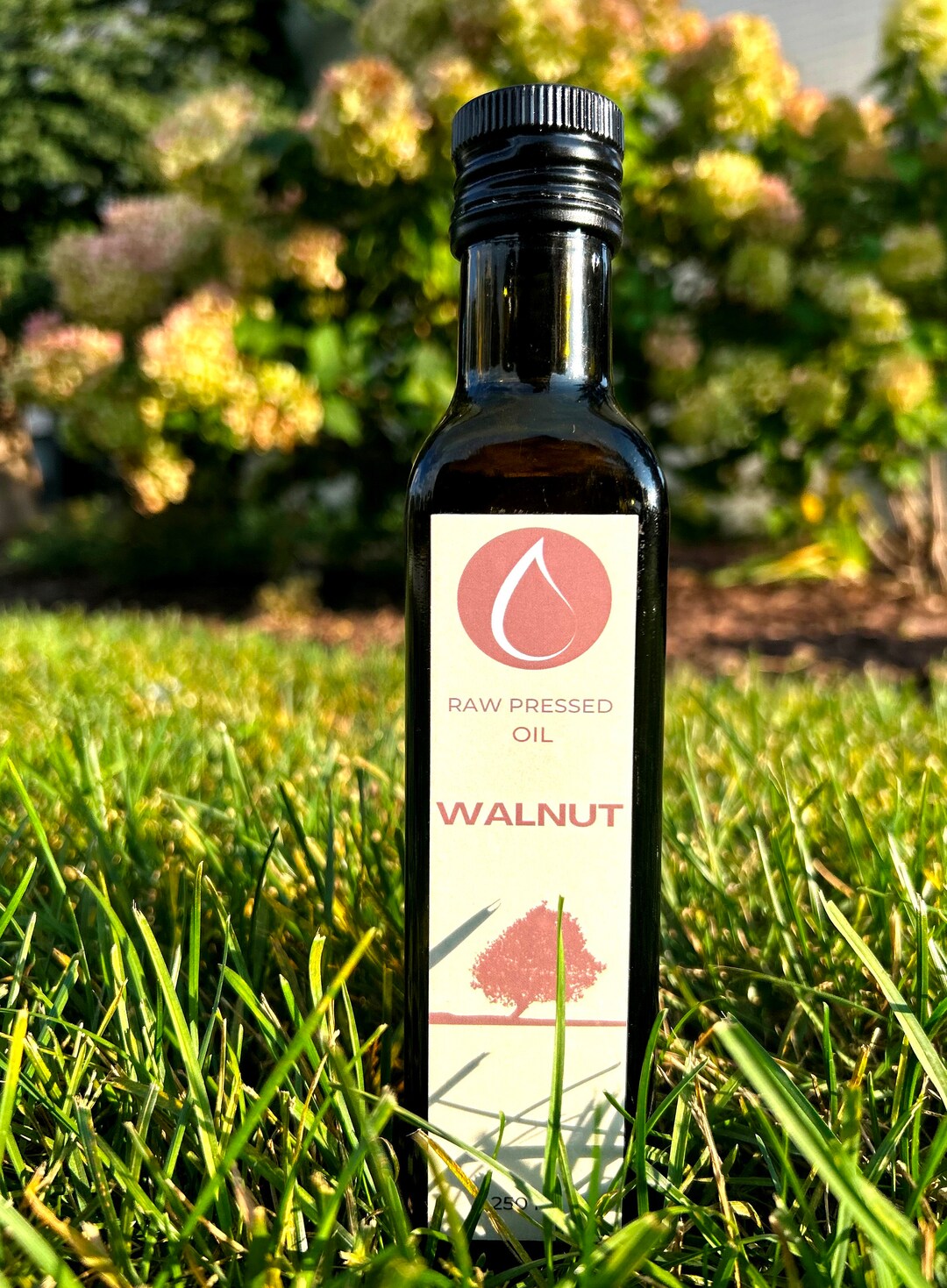 Best Walnut Oil Pure Raw Pressed Walnut Oil for Healthy Recipes and ...