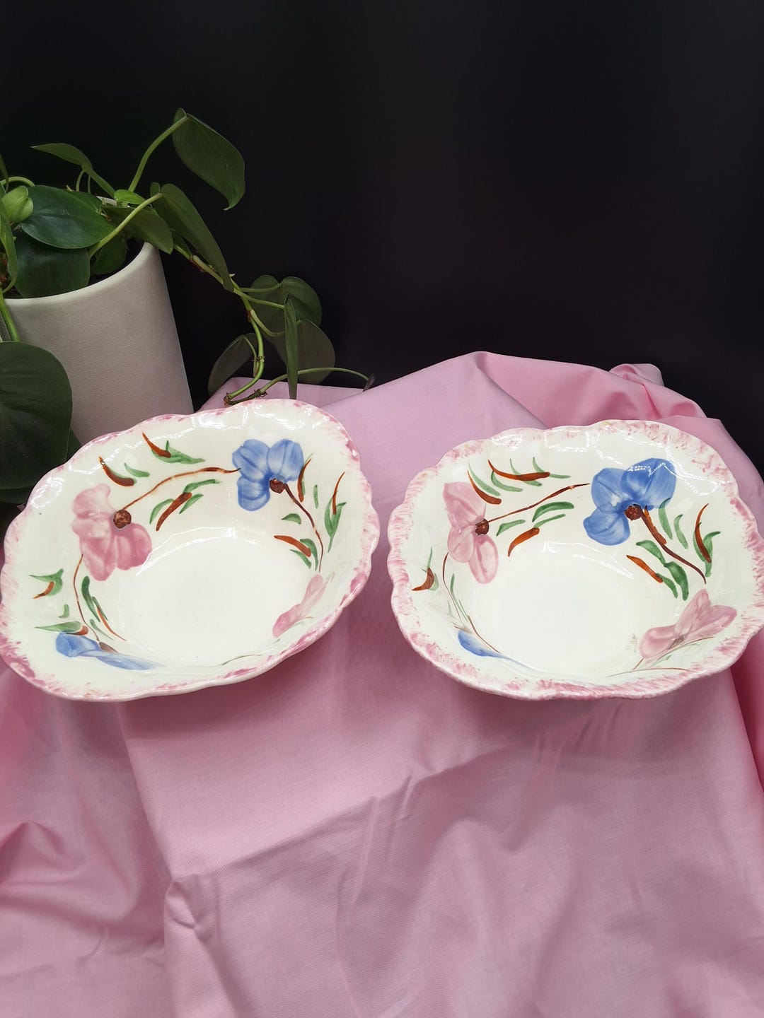 Vintage Blue Ridge Southern Pottery Bowls, Set of 2, in the "sweet Pea ...