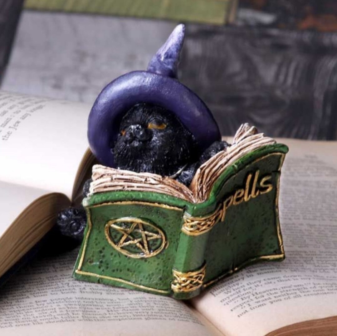Kitty's Grimoire Green Black Cat With Spell Book - Etsy