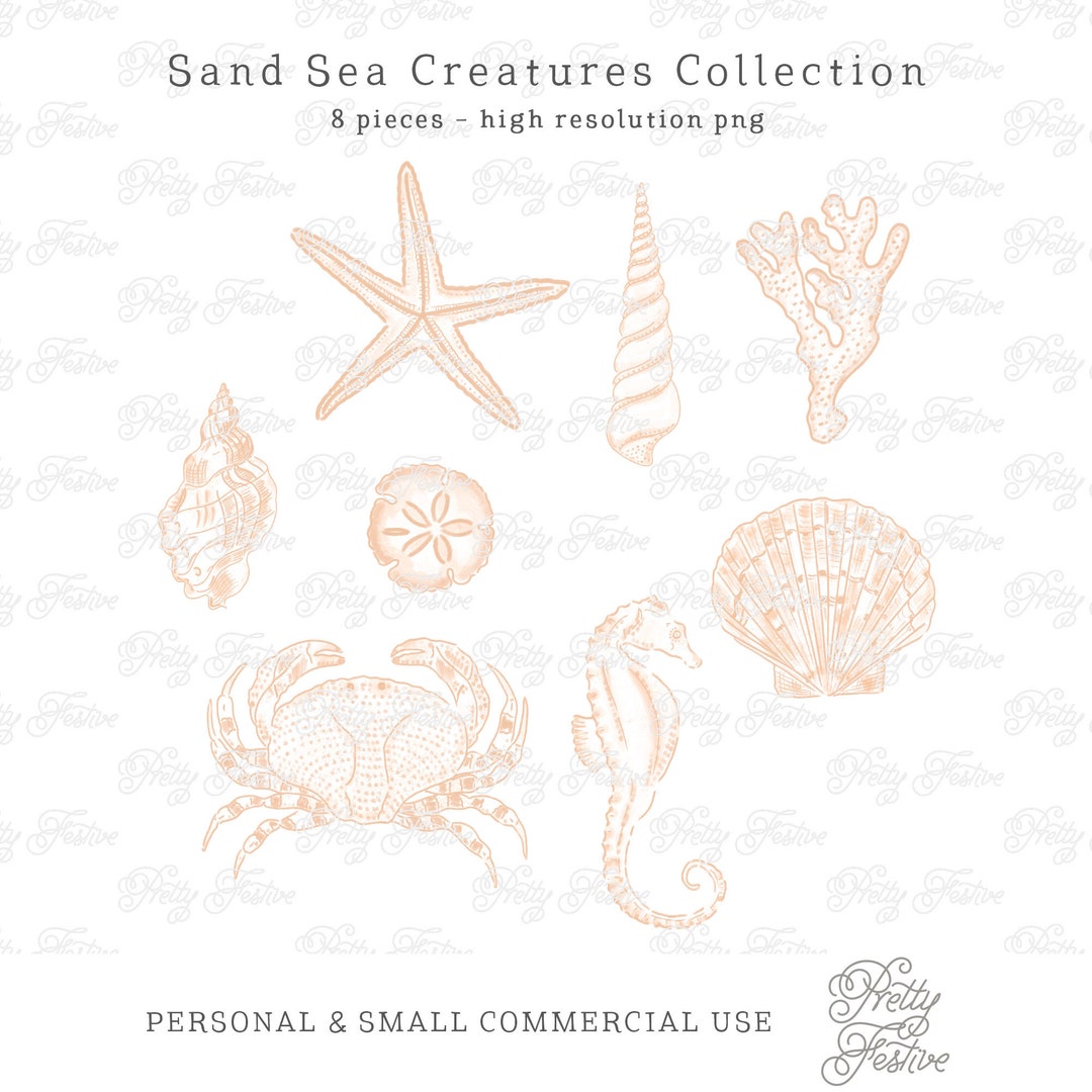 Sea Shell Clipart Set in Sand Color, Preppy Watercolor Seashells ...
