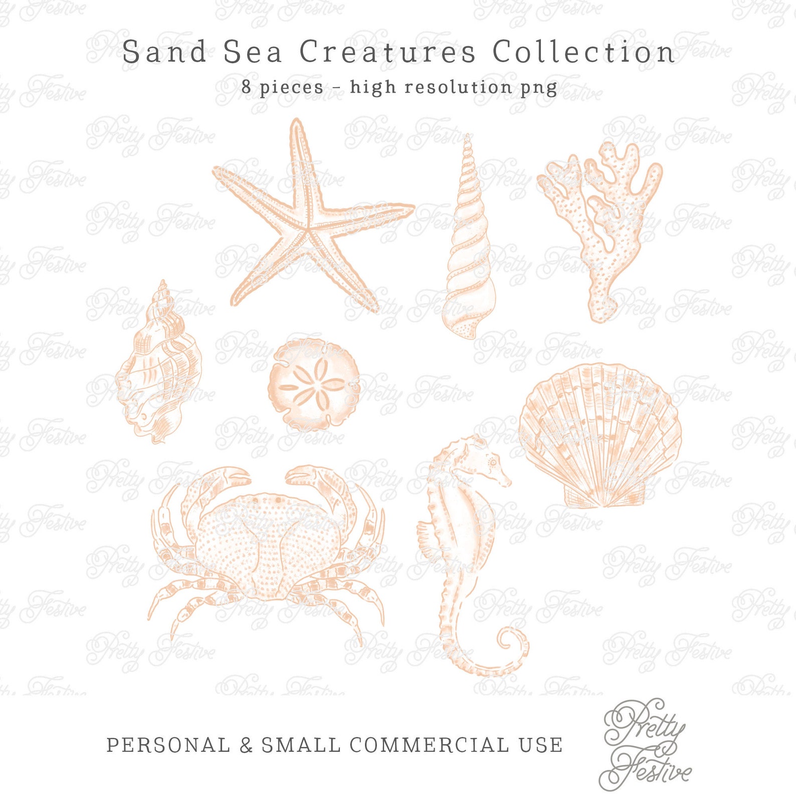 Sea Shell Clipart Set in Sand Color, Preppy Watercolor Seashells ...