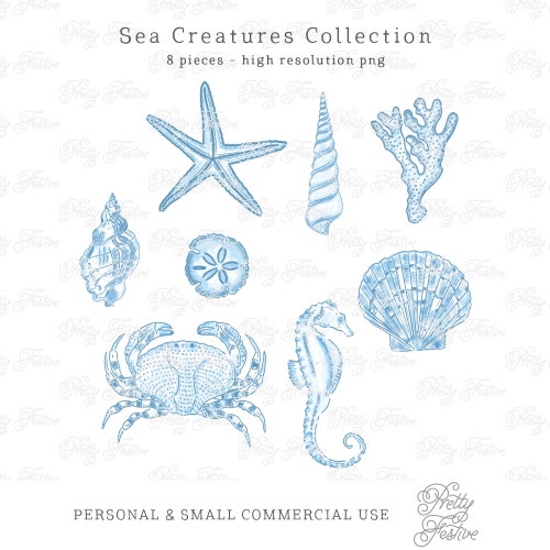 Preppy Watercolor Sea Shells Illustrations Clipart in - Etsy
