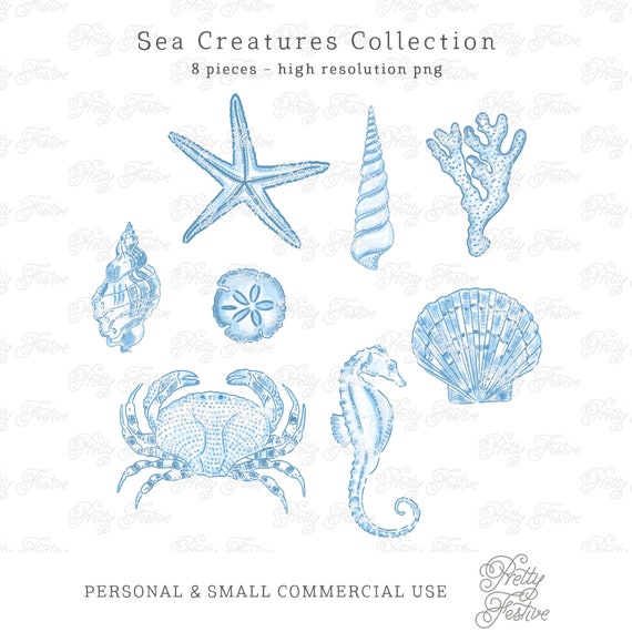 Preppy Watercolor Sea Shells Illustrations Clipart in - Etsy