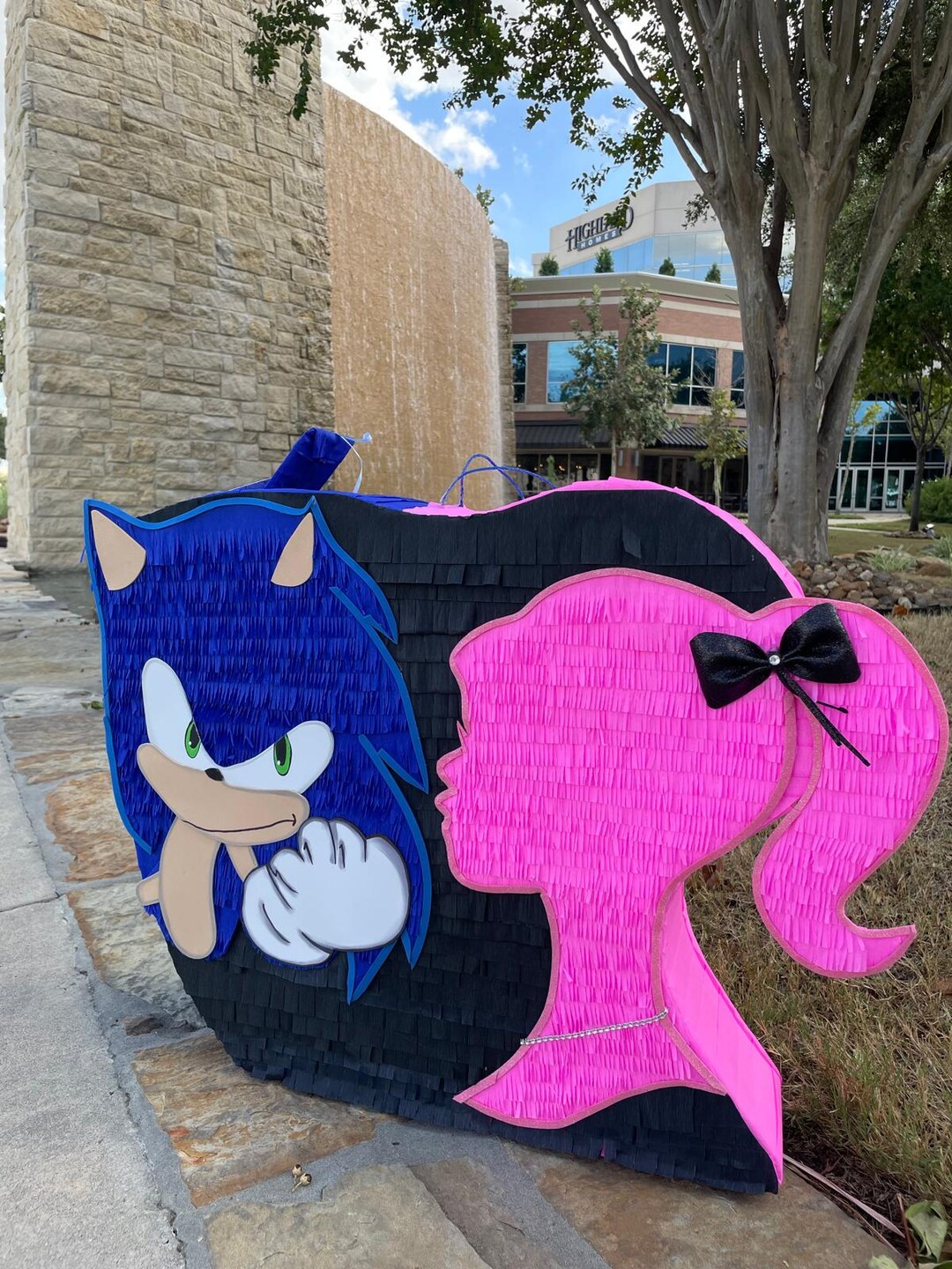 Zonic & Barbie Piñata - Etsy