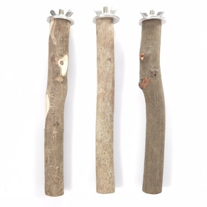 Various Sizes Natural Wood Perch Ledge Platform Shelf Walkway for Bird ...