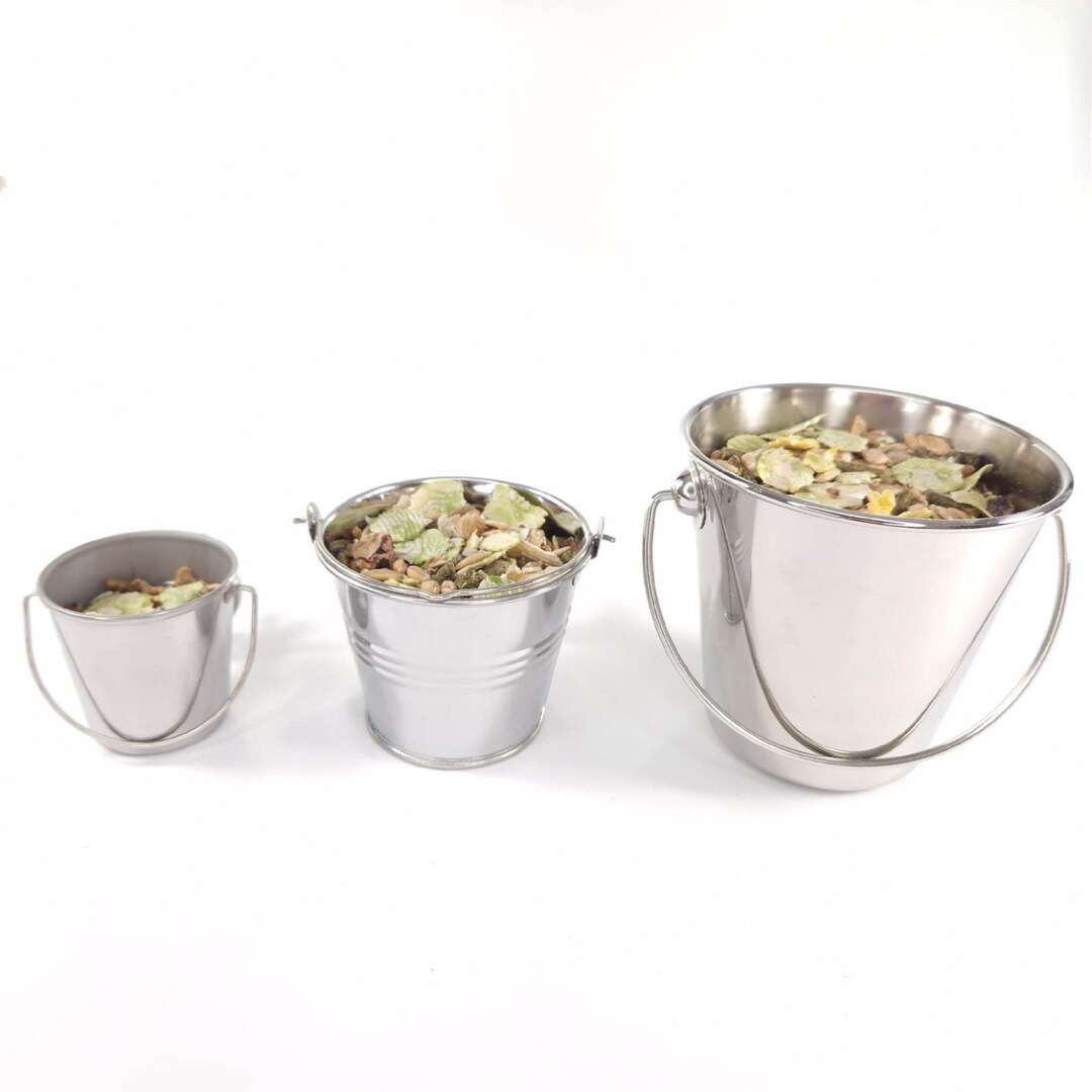 Stainless Steel Bucket Feeders Treat Pot Foraging for Rat - Etsy