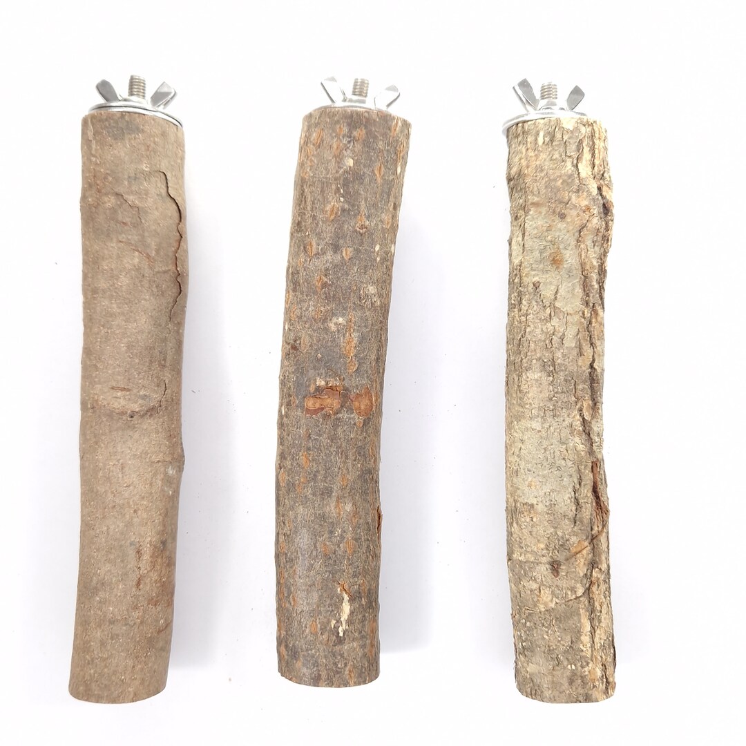 Large Long Natural Wood Perch Ledge Platform Shelf Walkway for - Etsy