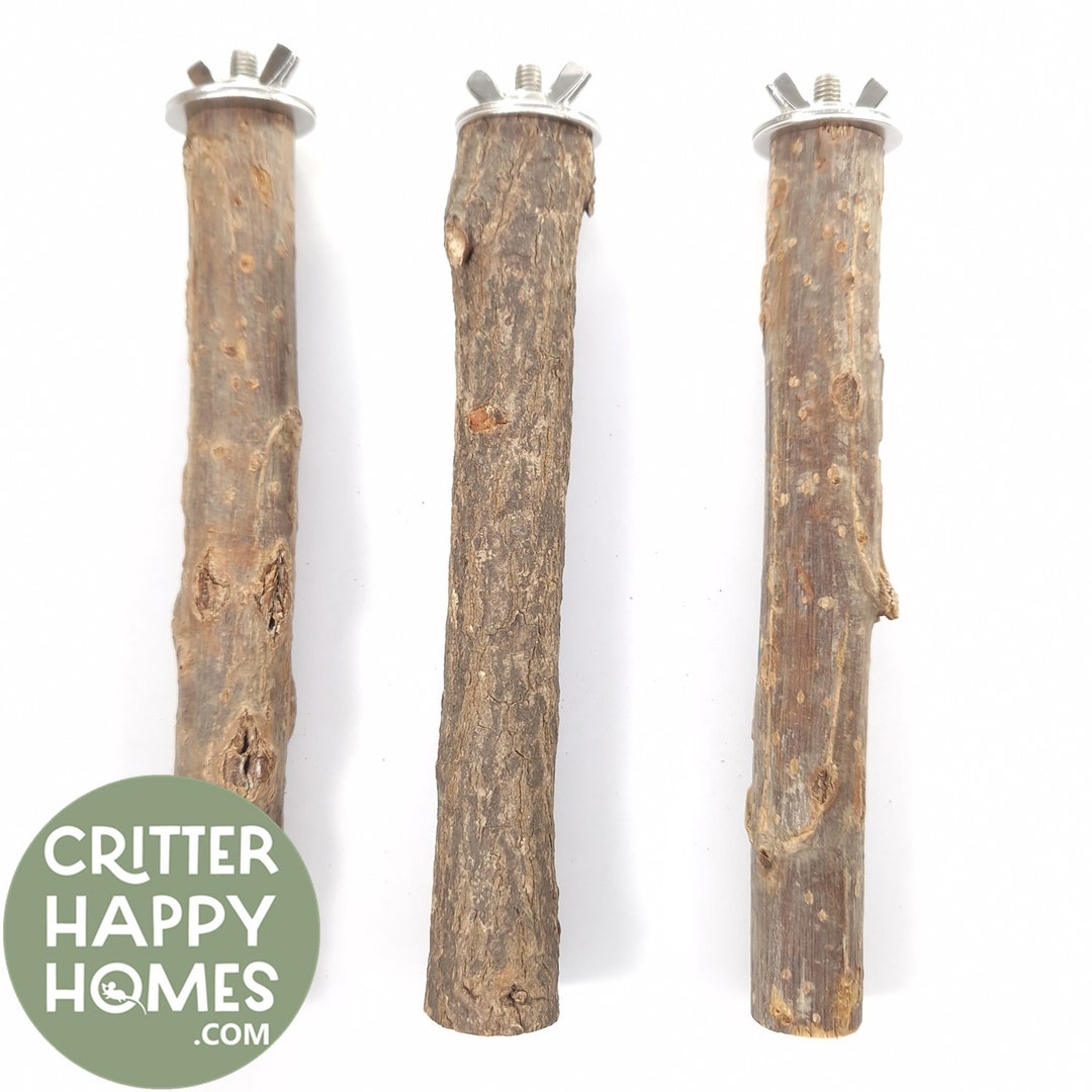 Medium Long Natural Wood Perch Ledge Platform Shelf Walkway for Bird ...