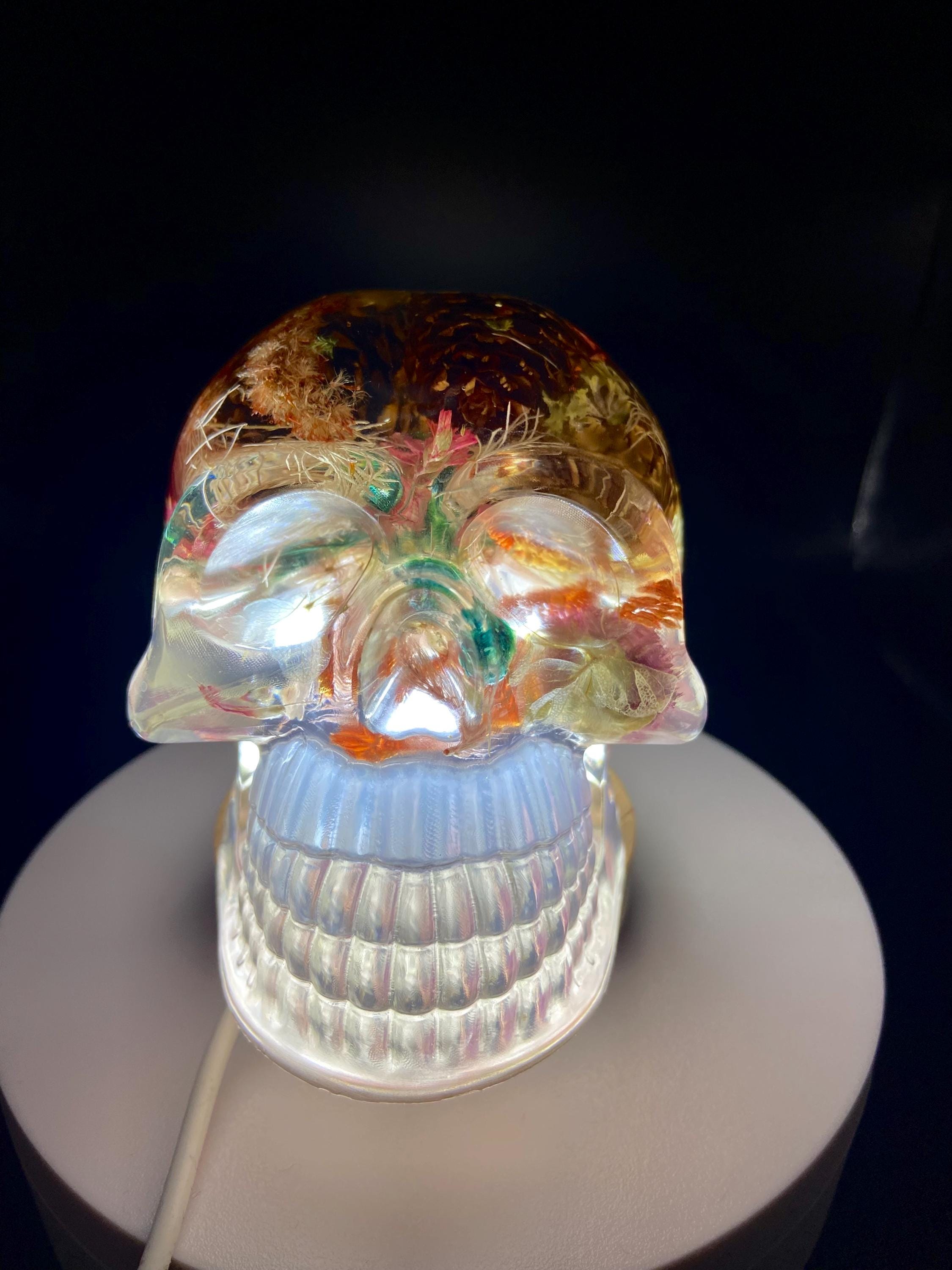 Skull Lamp, Real Flowers, Gothic, Gift, Present Skull Night Light ...
