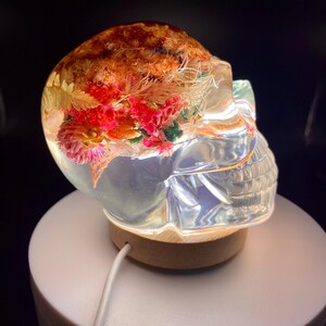 Skull Lamp, Real Flowers, Gothic, Gift, Present Skull Night Light ...