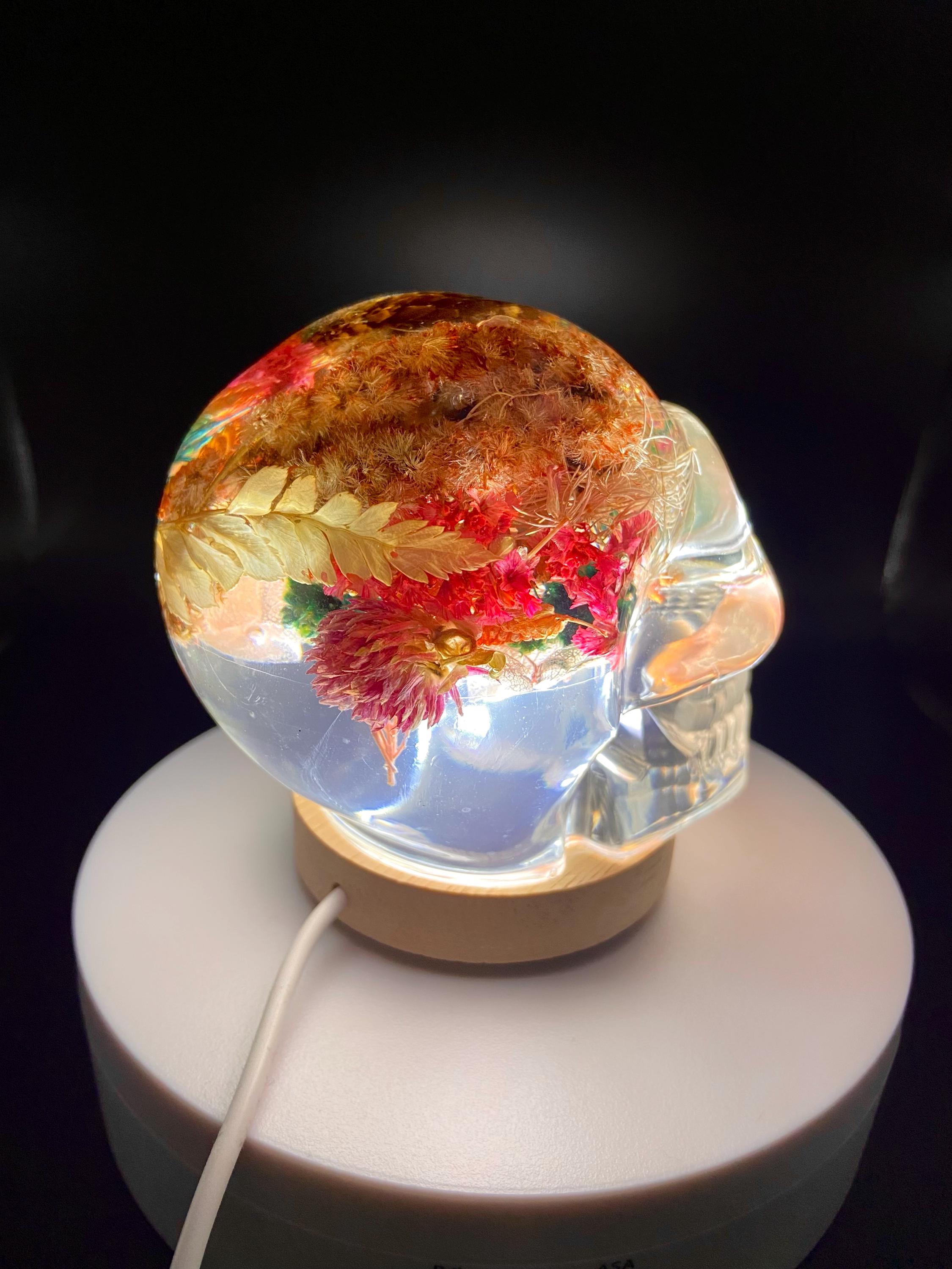 Skull Lamp, Real Flowers, Gothic, Gift, Present Skull Night Light ...