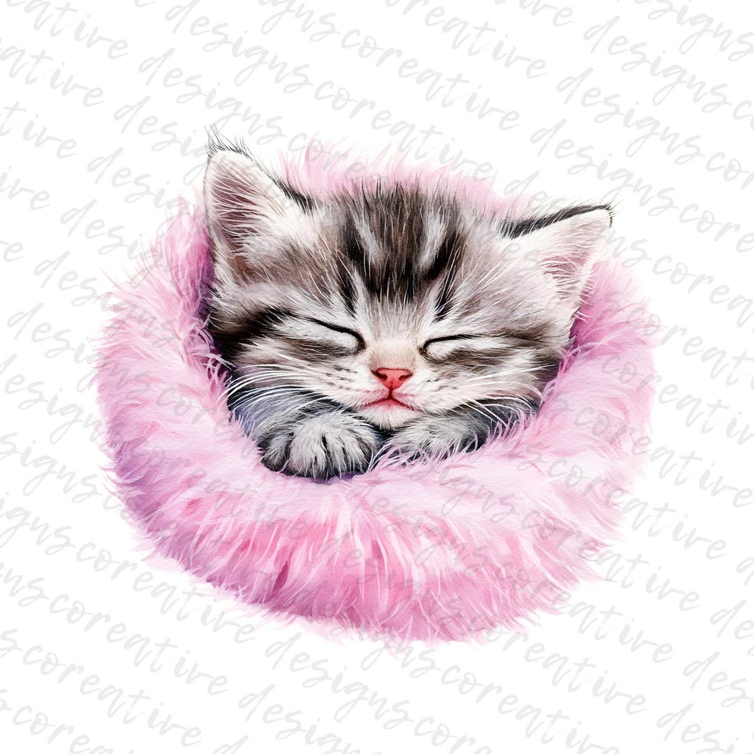 Sleeping Kitten Watercolor Clipart: Cat Lover Art (digital Download JPG ...