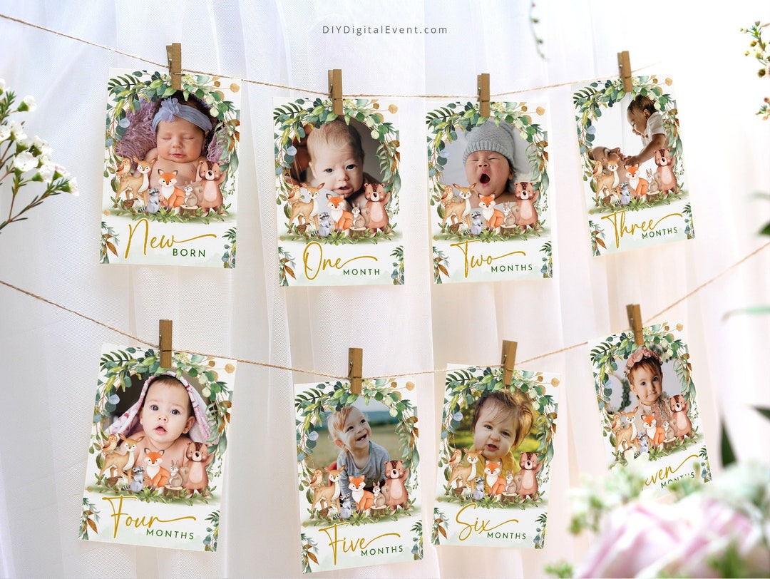 EDITABLE First Birthday Monthly Banner Woodland Animals 1st Year ...
