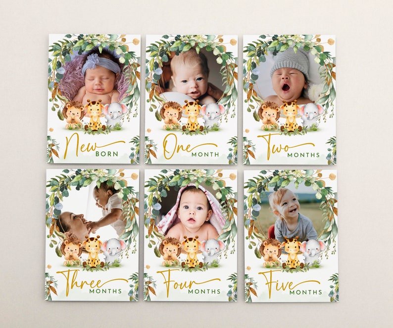 EDITABLE First Birthday Monthly Banner Printable Safari - Etsy