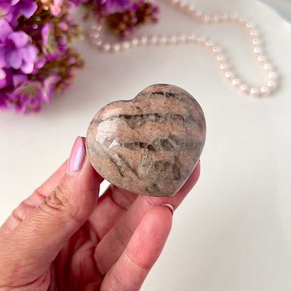 Madagascar Zebra - Etsy