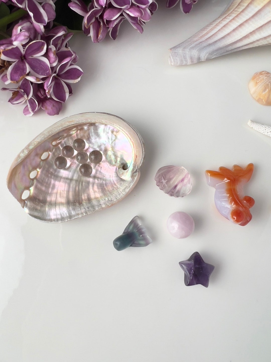 Under the Sea Themed Mini Crystal Abalone Shell Set | Fluorite Shell ...