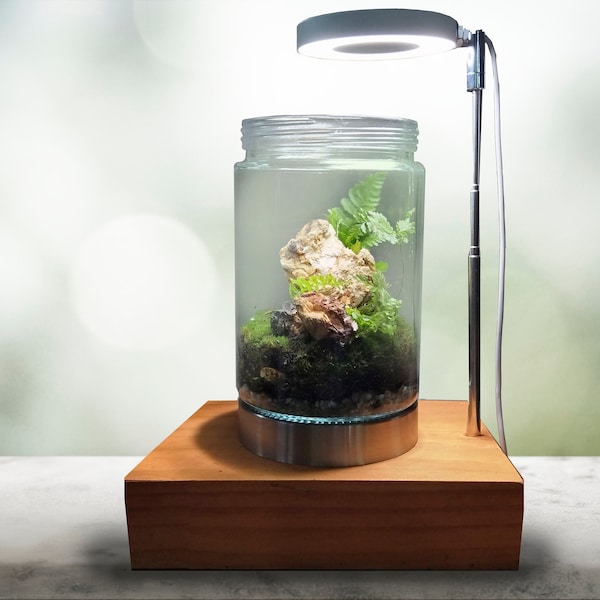 Terrarium Stand - Etsy