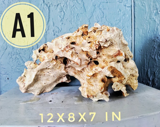 Large Natural Limestone Aquarium Stone With Holes Fish Tank, Terrarium ...